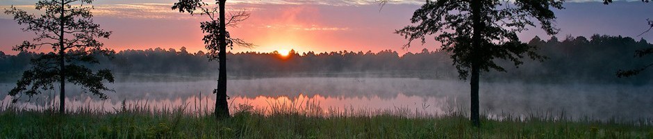 Things To Do | Town of Chatom