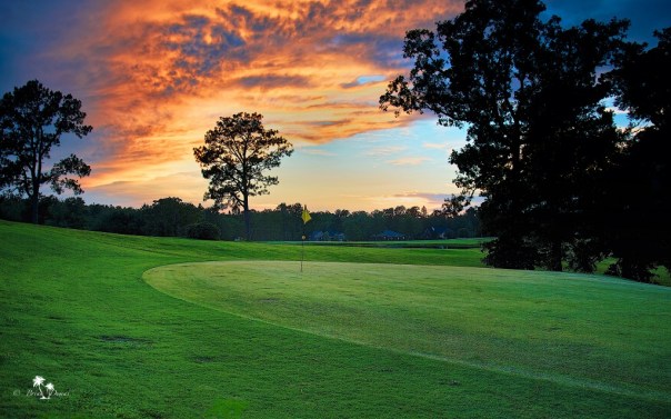 THE PINES OF CHATOM | Town of Chatom